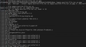 NSA TAO-arkiv • Cybersäkerhet och IT-säkerhet