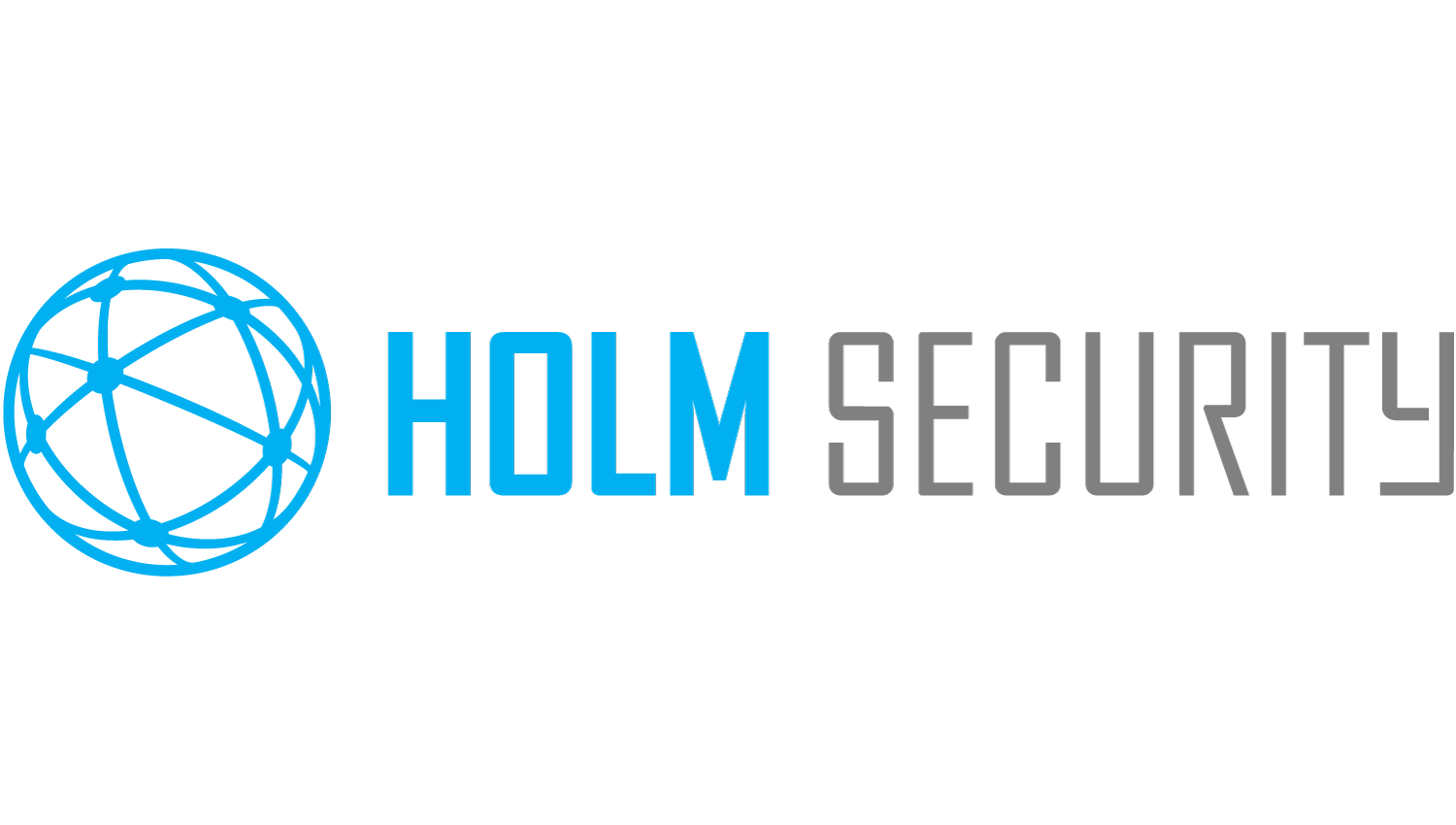 Test av Holm Security • Cybersäkerhet och IT-säkerhet